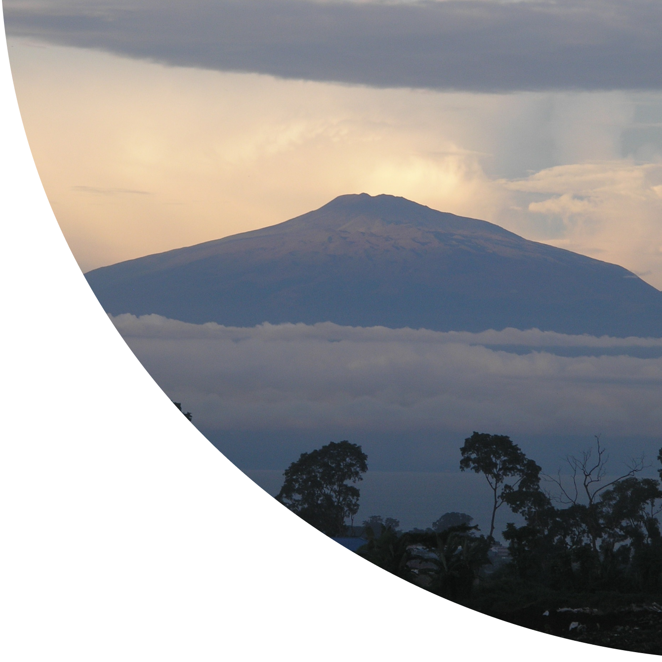 Zota - Payment solutions in Cameroon